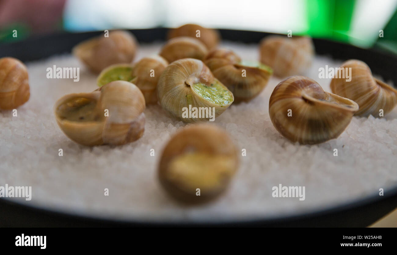 French snails or Escargot cooked with garlic sauce closeup on salt ...