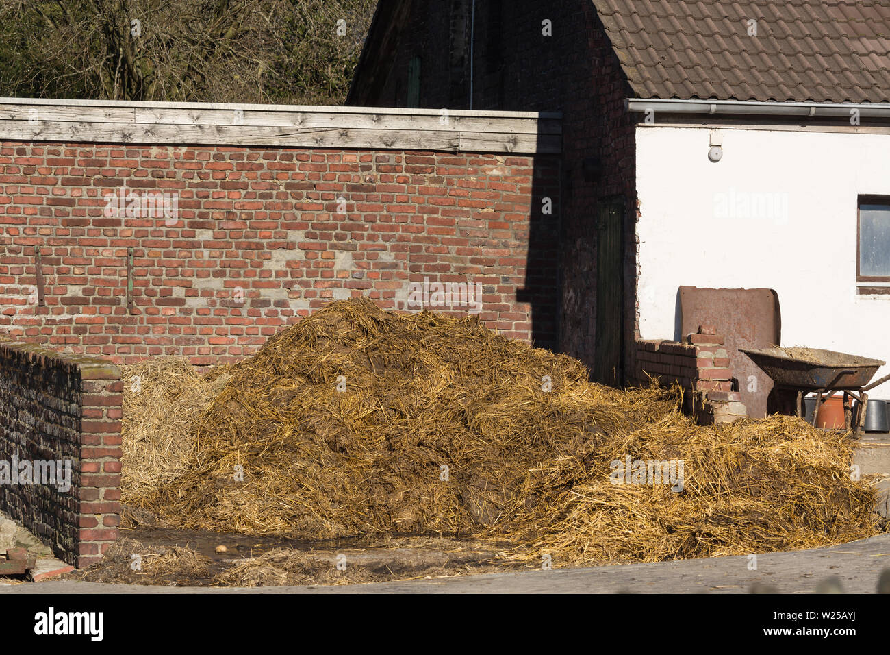 Dung Heap High Resolution Stock Photography and Images - Alamy Dung Heap High Resolution Stock Photography and Images - Alamy