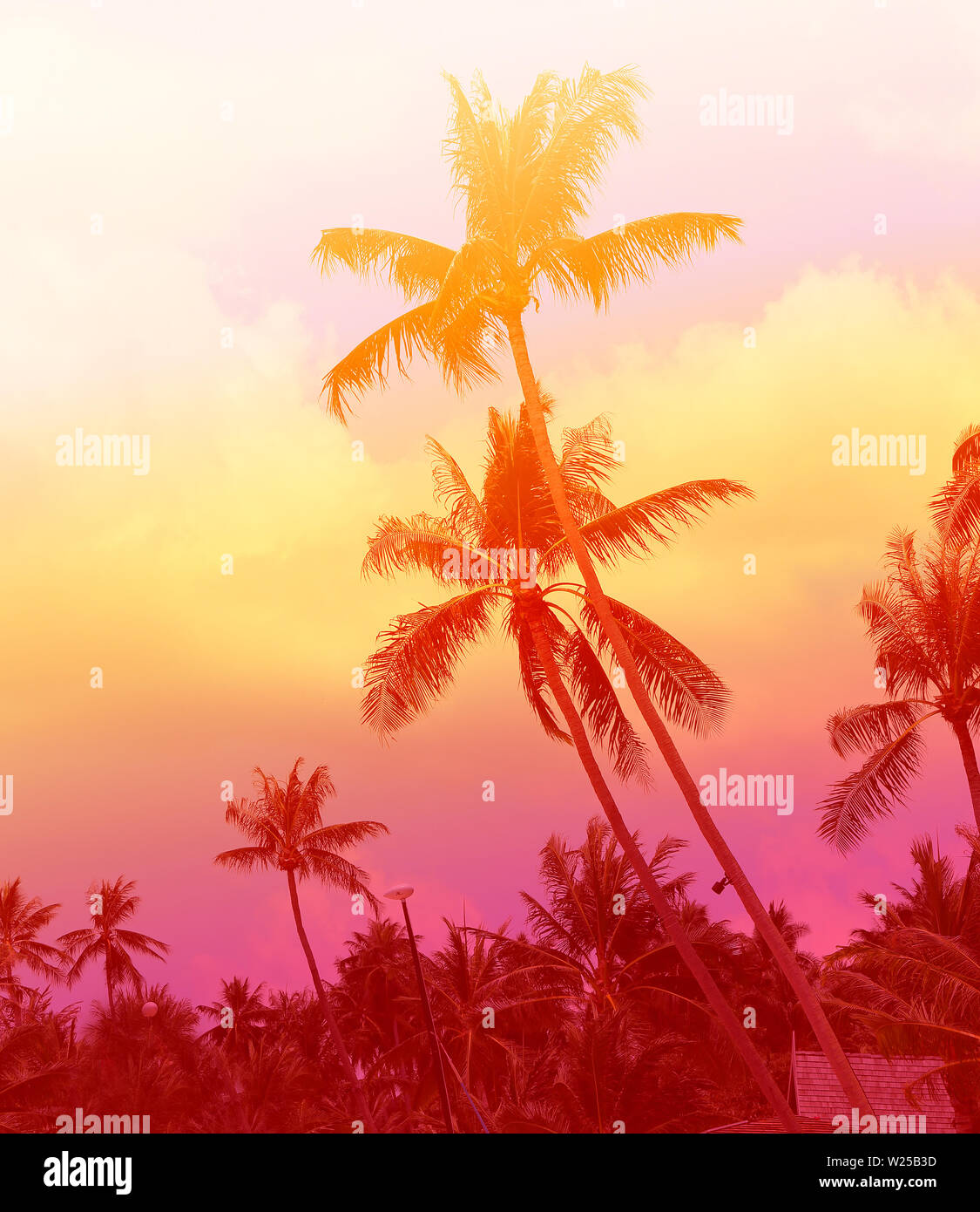 Exotic asia hi-res stock photography and images - Alamy