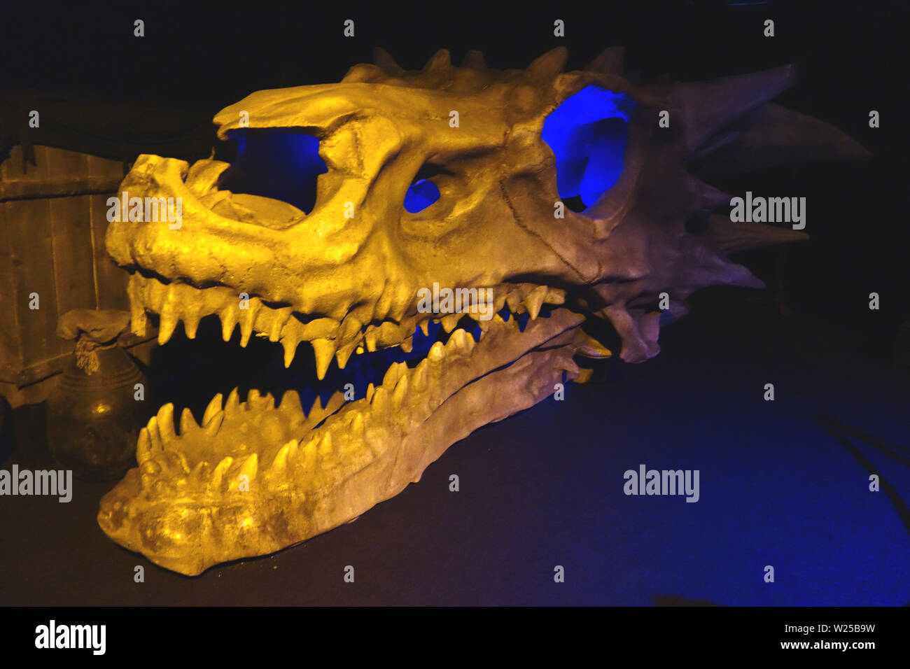 Large Targaryen Dragon Skulls on Display in the Game of Thrones ...