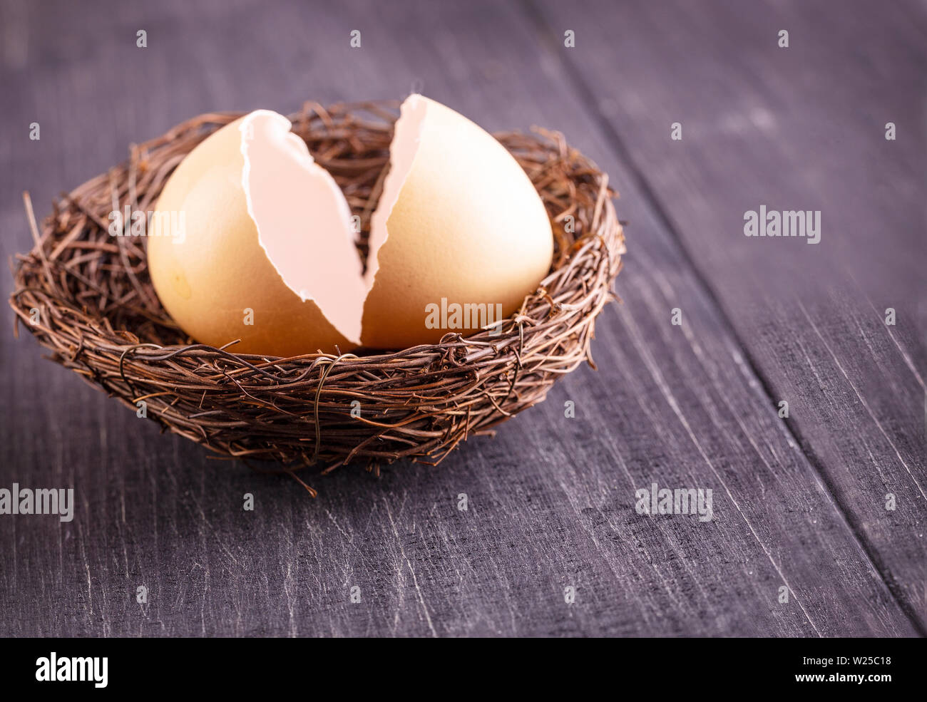 Empty bird nest egg shells hi-res stock photography and images - Alamy