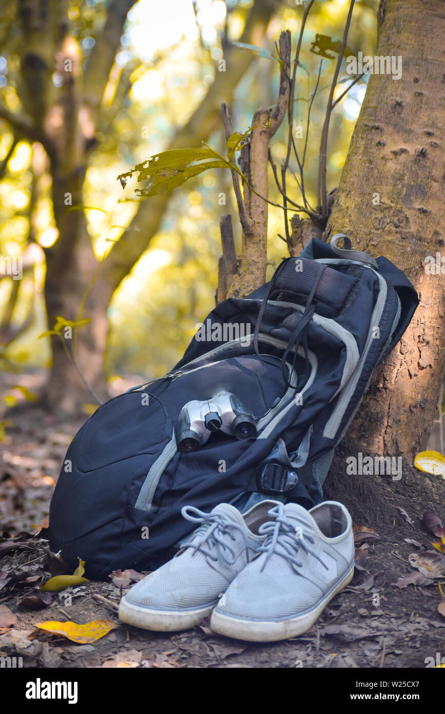 Hiking boots in the forest Stock Photo - Alamy