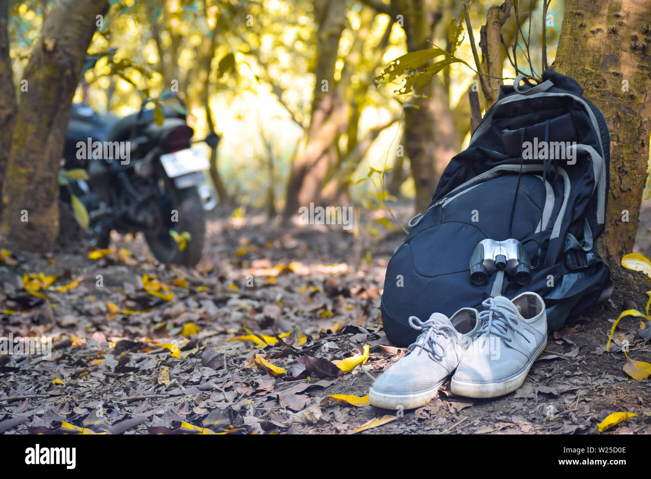 Hiking boots in the forest Stock Photo - Alamy