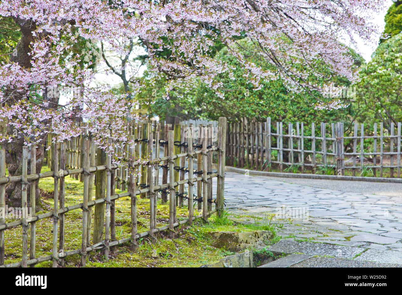 Hakone botanical garden of wetlands kanagawa hi-res stock photography ...