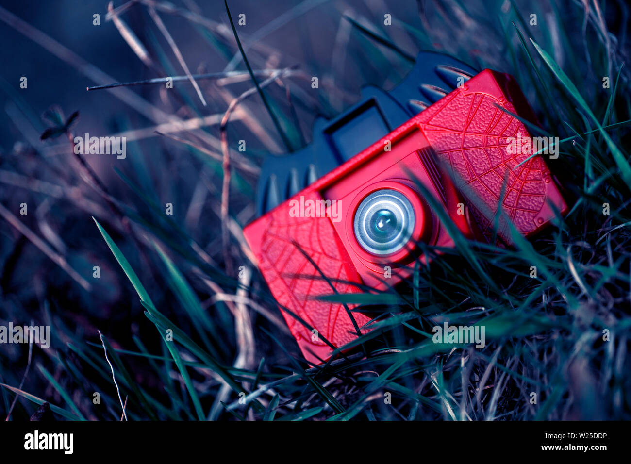 Blue Plastic camera toy in grass background wallpaper fine art Stock ...