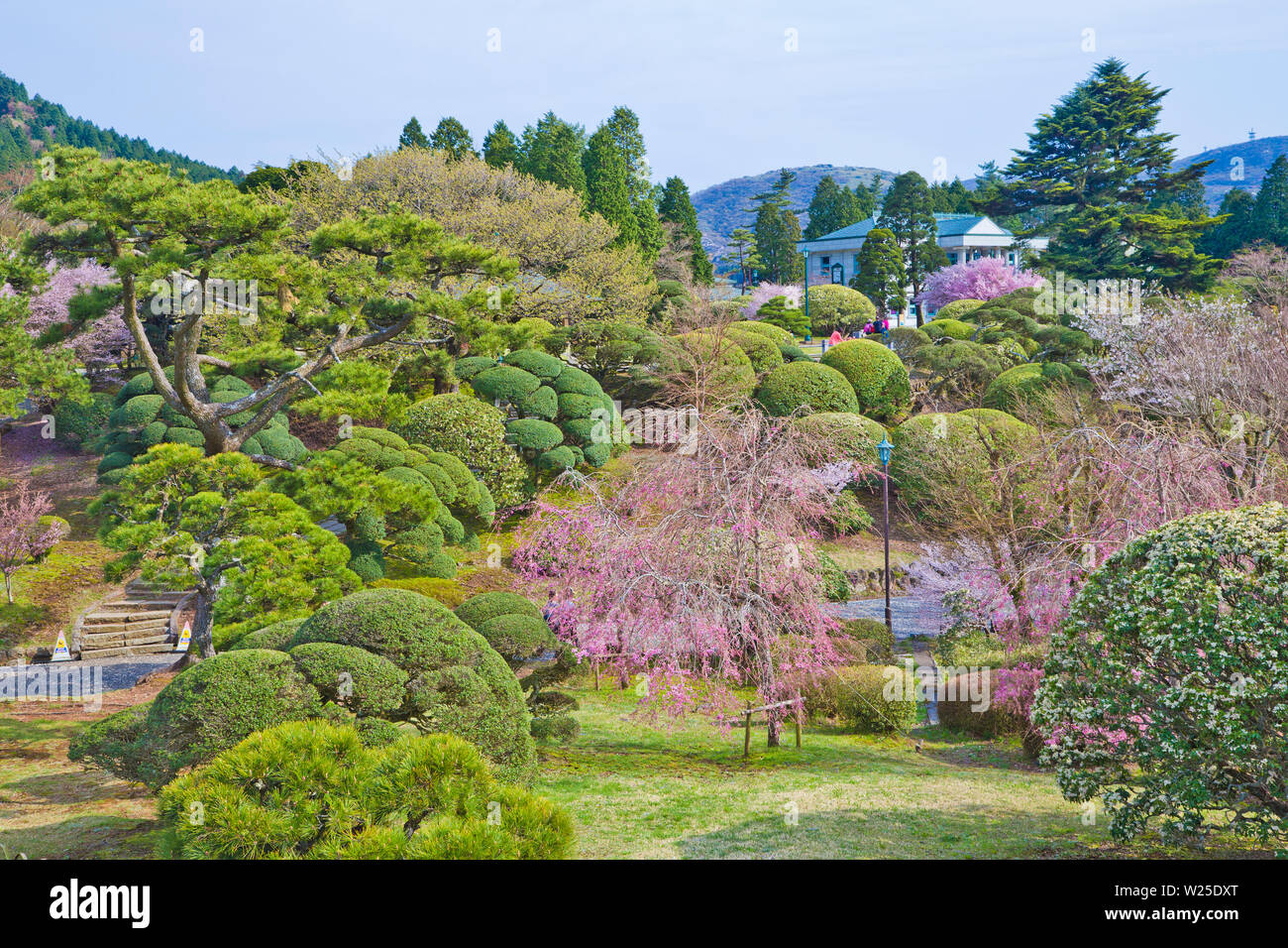 Hakone botanical garden of wetlands kanagawa hi-res stock photography ...
