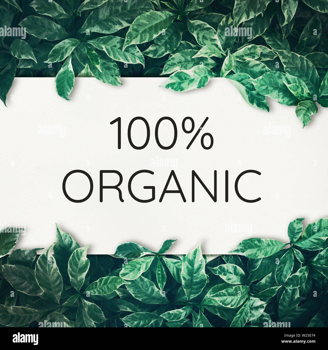 100% organic text with green leaf backgrounds Stock Photo - Alamy