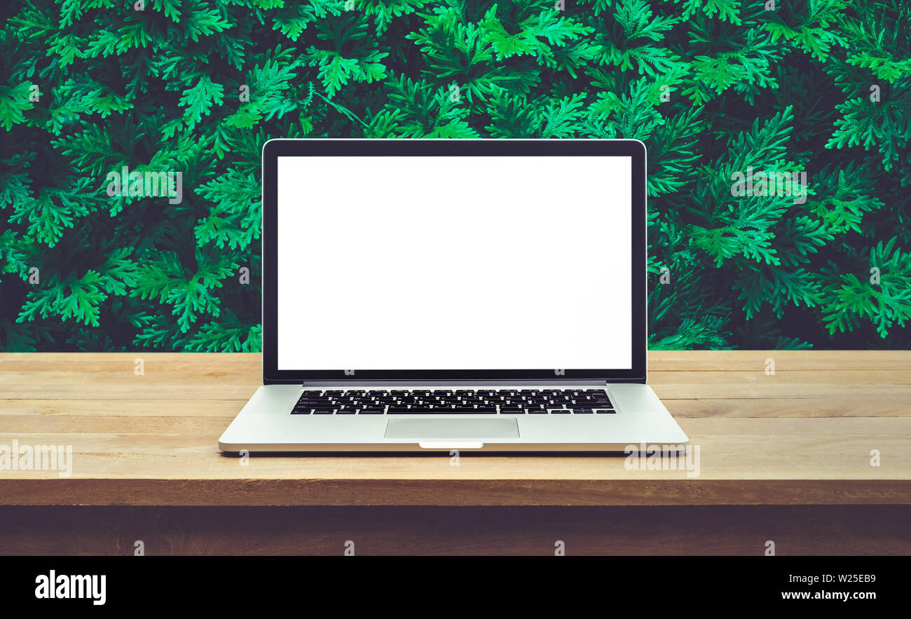 Modern computer,laptop with blank screen on table with green leaf ...