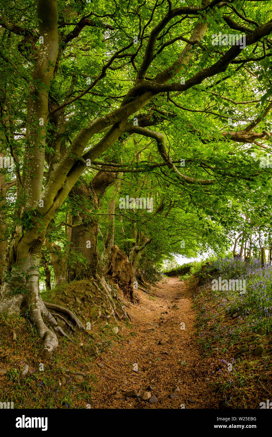 Ancient walking routes hi-res stock photography and images - Alamy