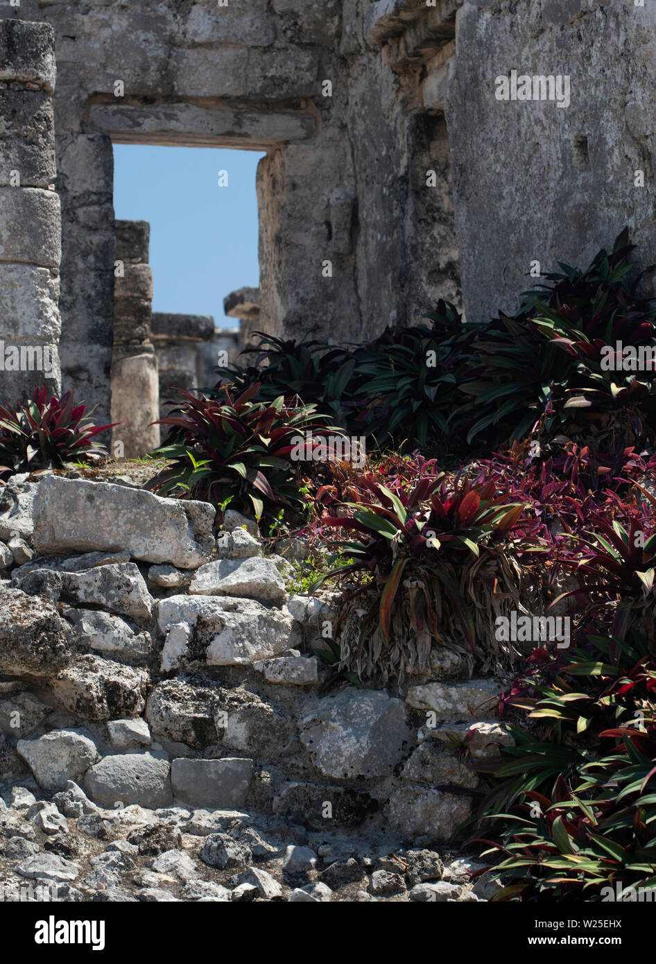 Mayan ruins at Tulum in the Yucatan peninsula, Mexico Stock Photo - Alamy