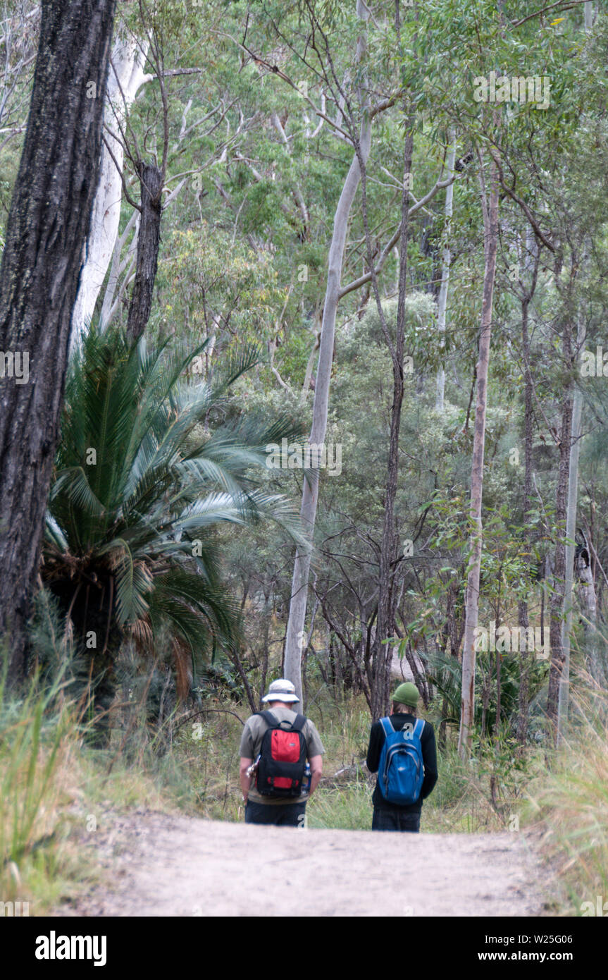 Bushwalk hi-res stock photography and images - Alamy