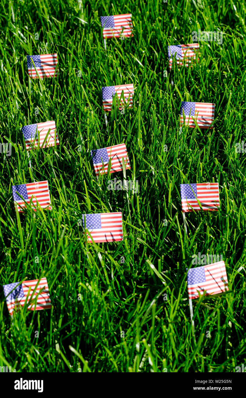Lawn grass american flag hi-res stock photography and images - Alamy