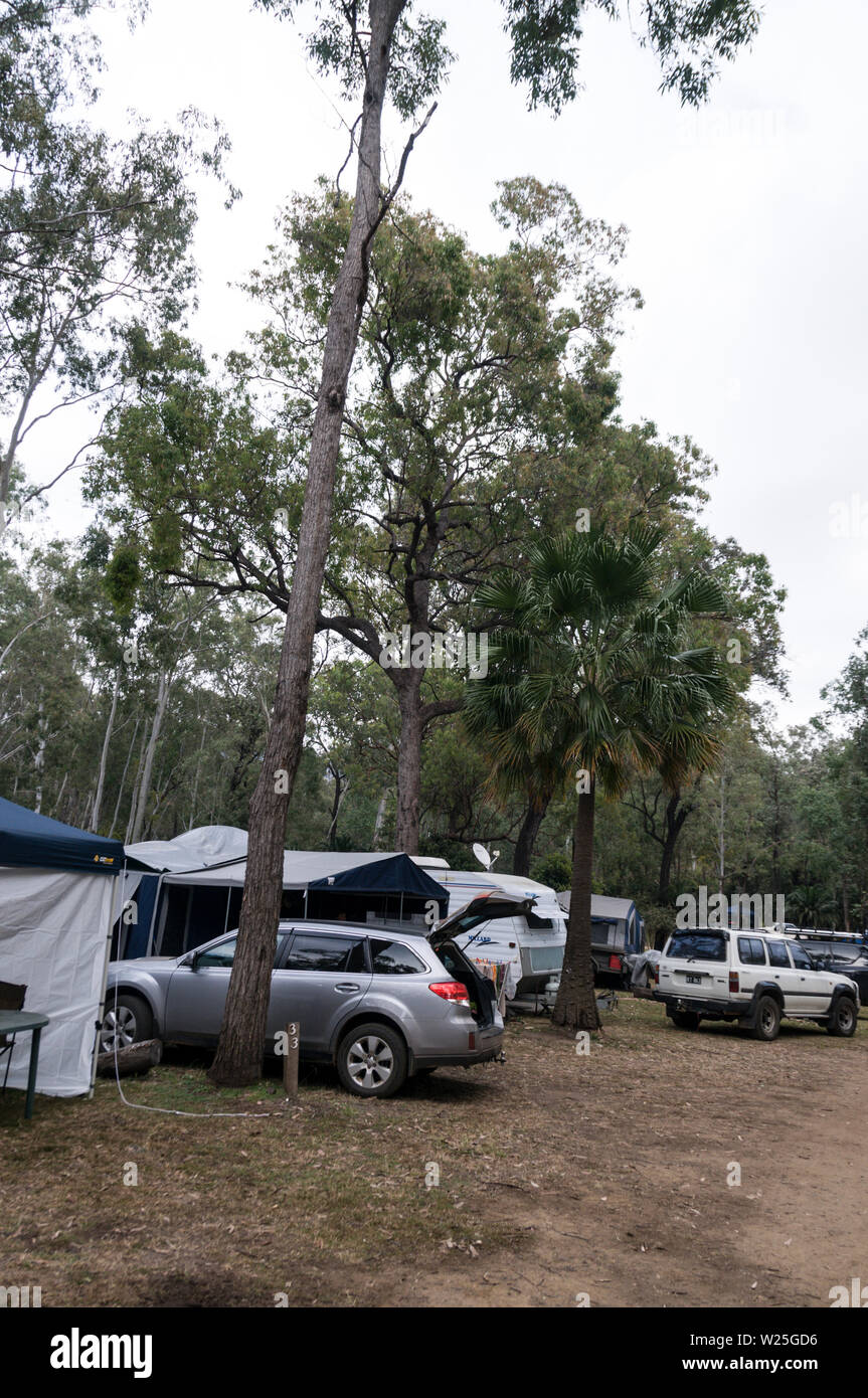 The main camp / caravan site, Takarkka resort in the Carnarvon Gorge ...
