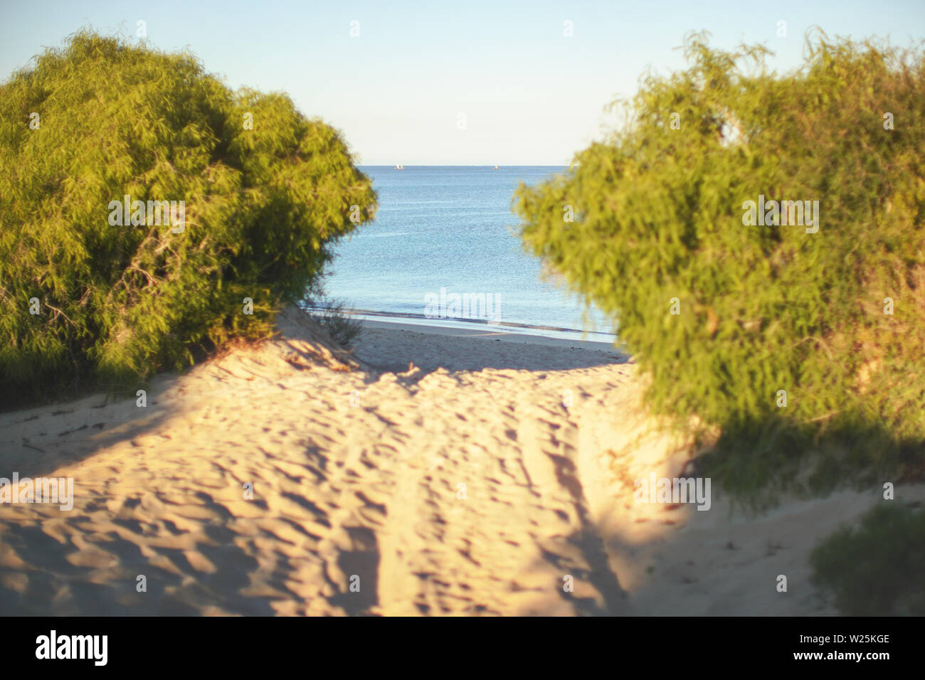Shallow depth of field photo - only beach and sea in focus, sandy path ...