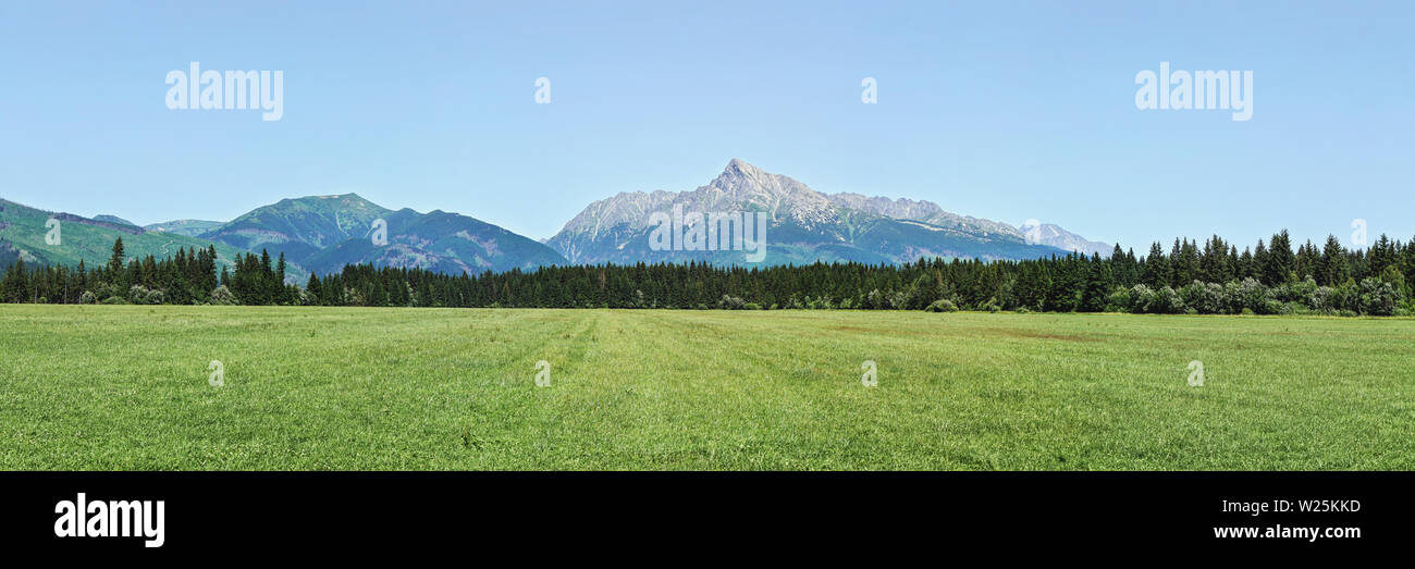 Wide panorama of green meadow with small forest and mount Krivan peak ...