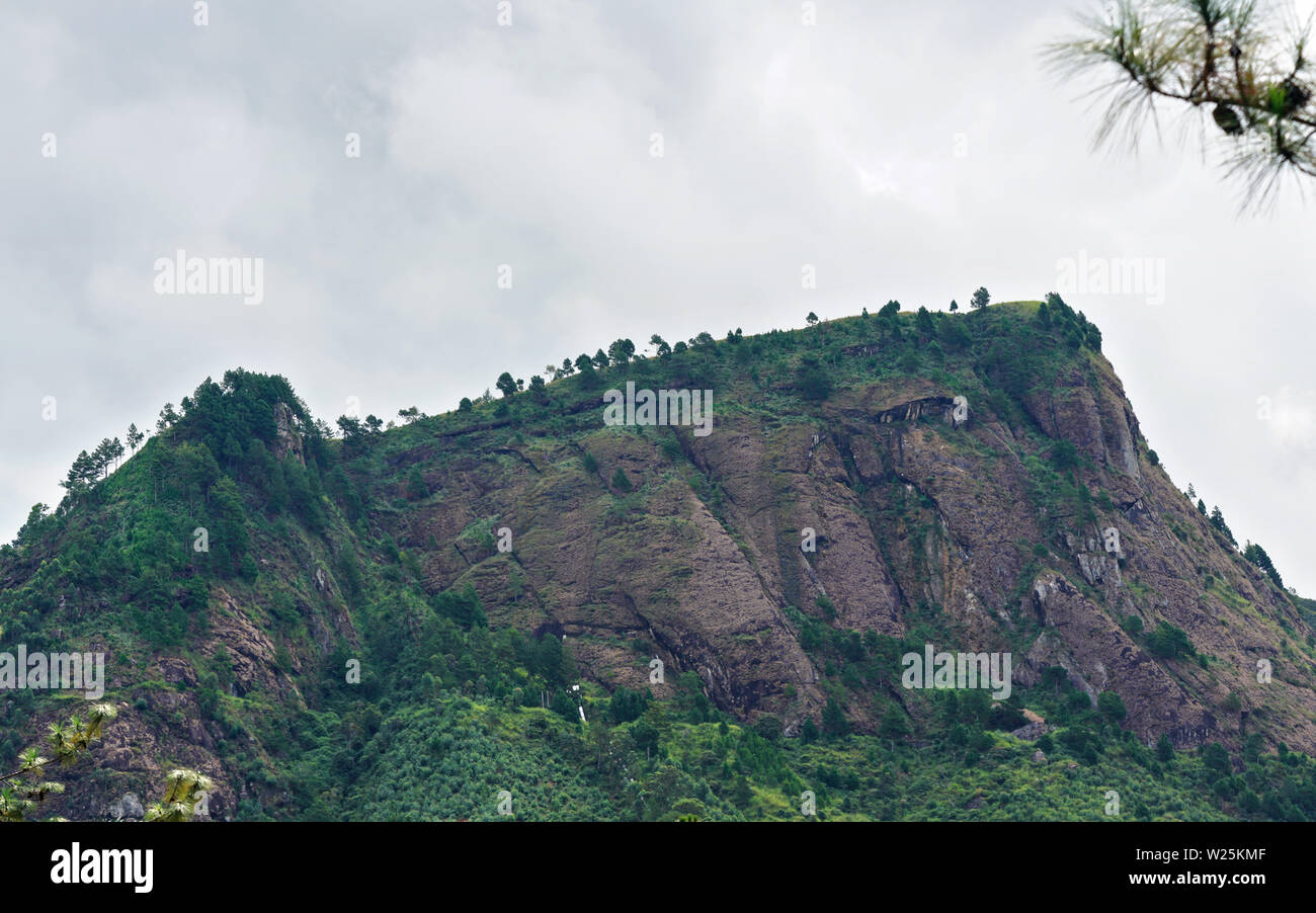 Mandraka hi-res stock photography and images - Alamy