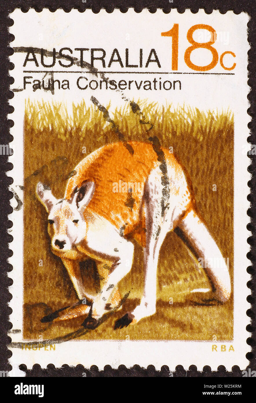 Australian postage stamp with a red kangaroo Stock Photo - Alamy