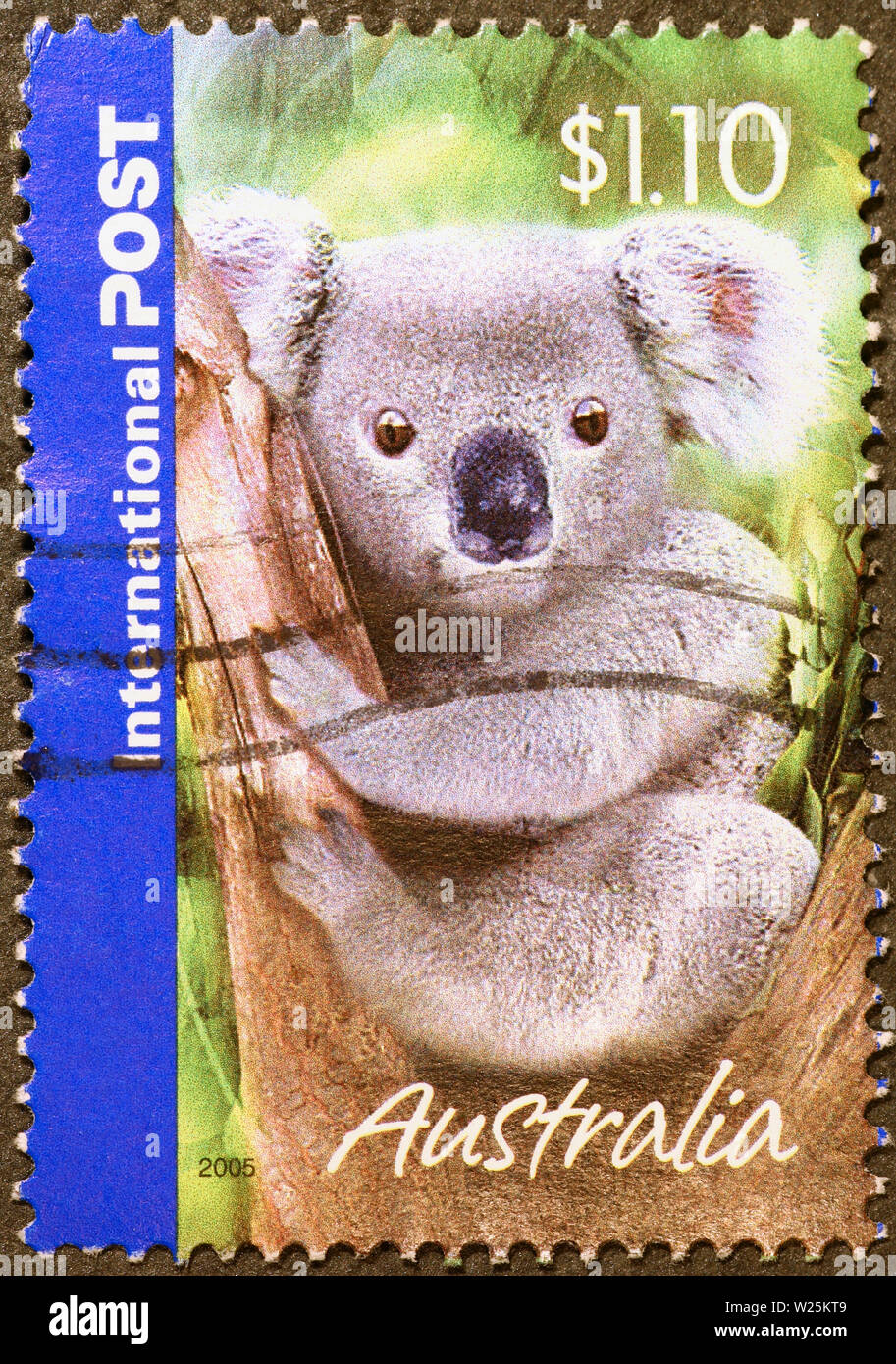 Baby koala on australian postage stamp Stock Photo - Alamy