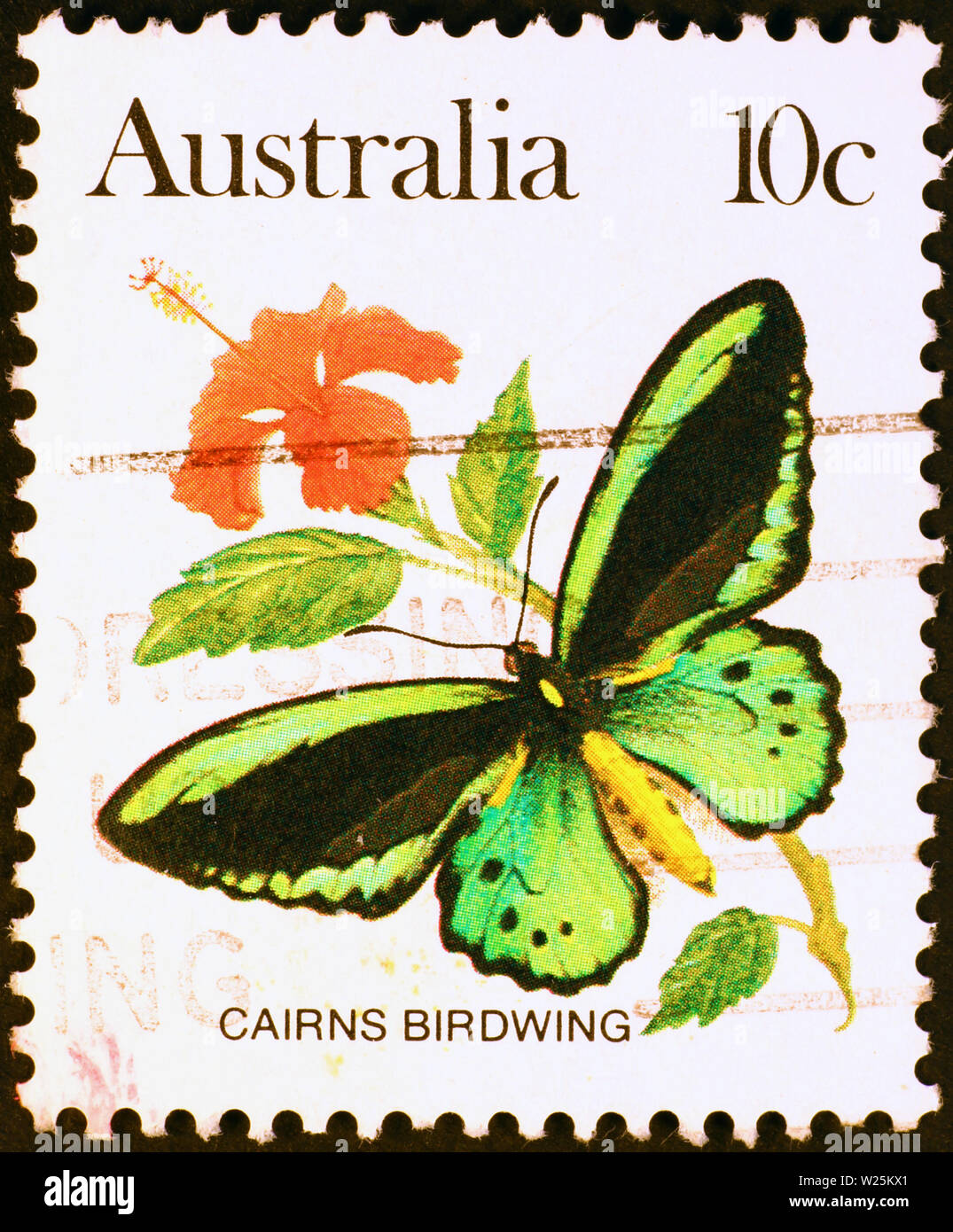 Beautiful butterfly on australian postage stamp Stock Photo - Alamy