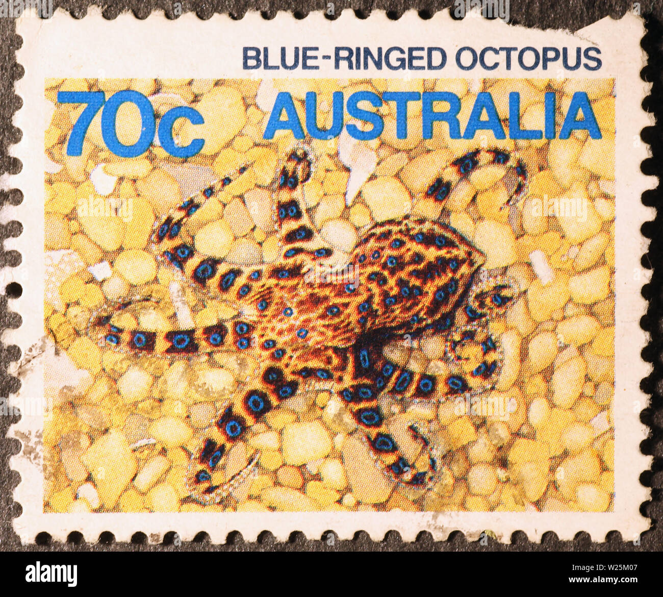 Blue-ringed octopus on australian postage stamp Stock Photo - Alamy