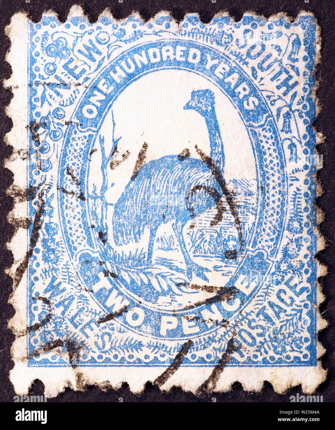 Emu on ancient australian postage stamp Stock Photo - Alamy