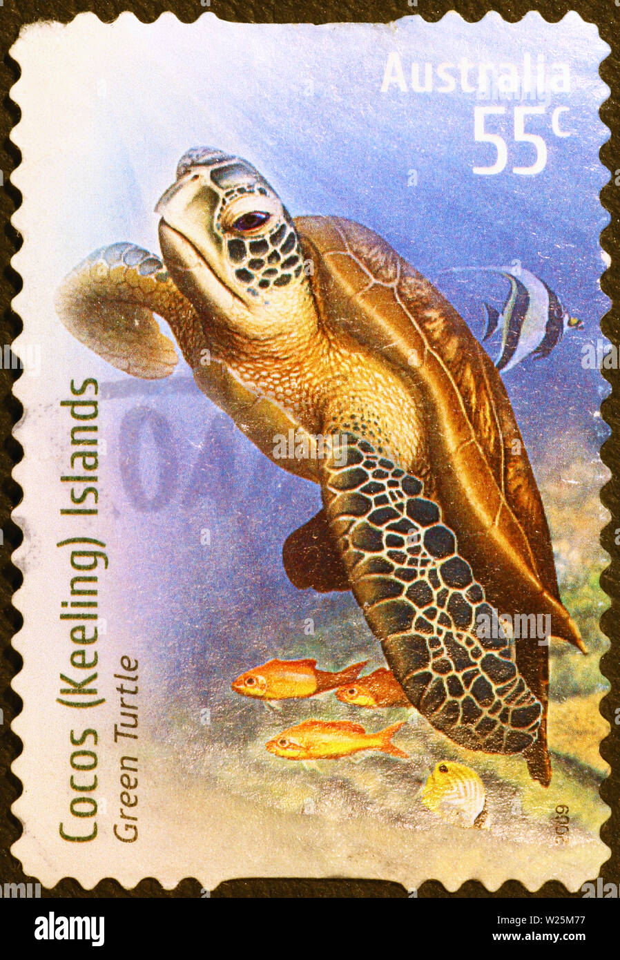 Green turtle on australian postage stamp Stock Photo - Alamy