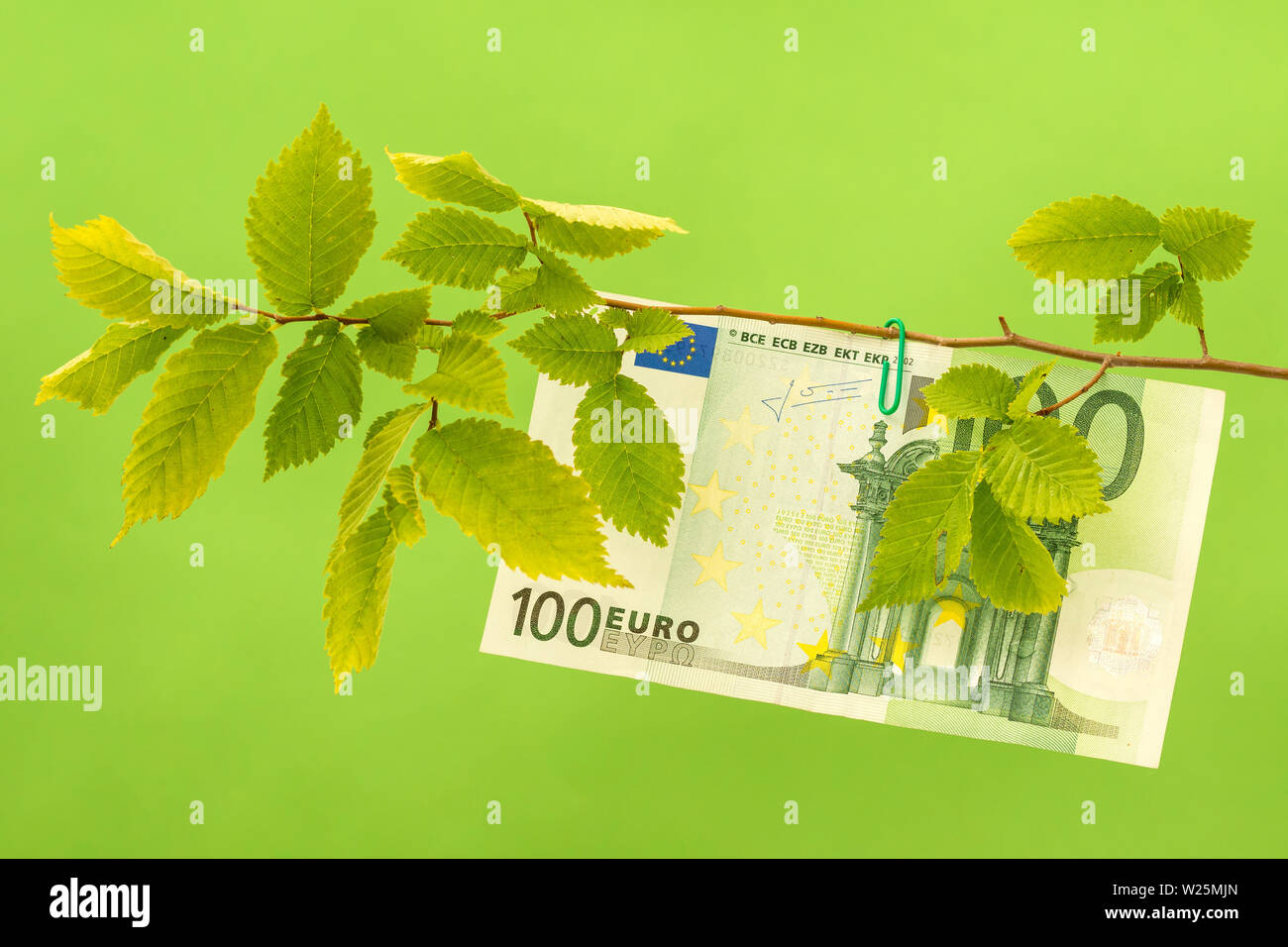 One Hundred Euro hanging on the tree branch. Money tree, revenue growth ...