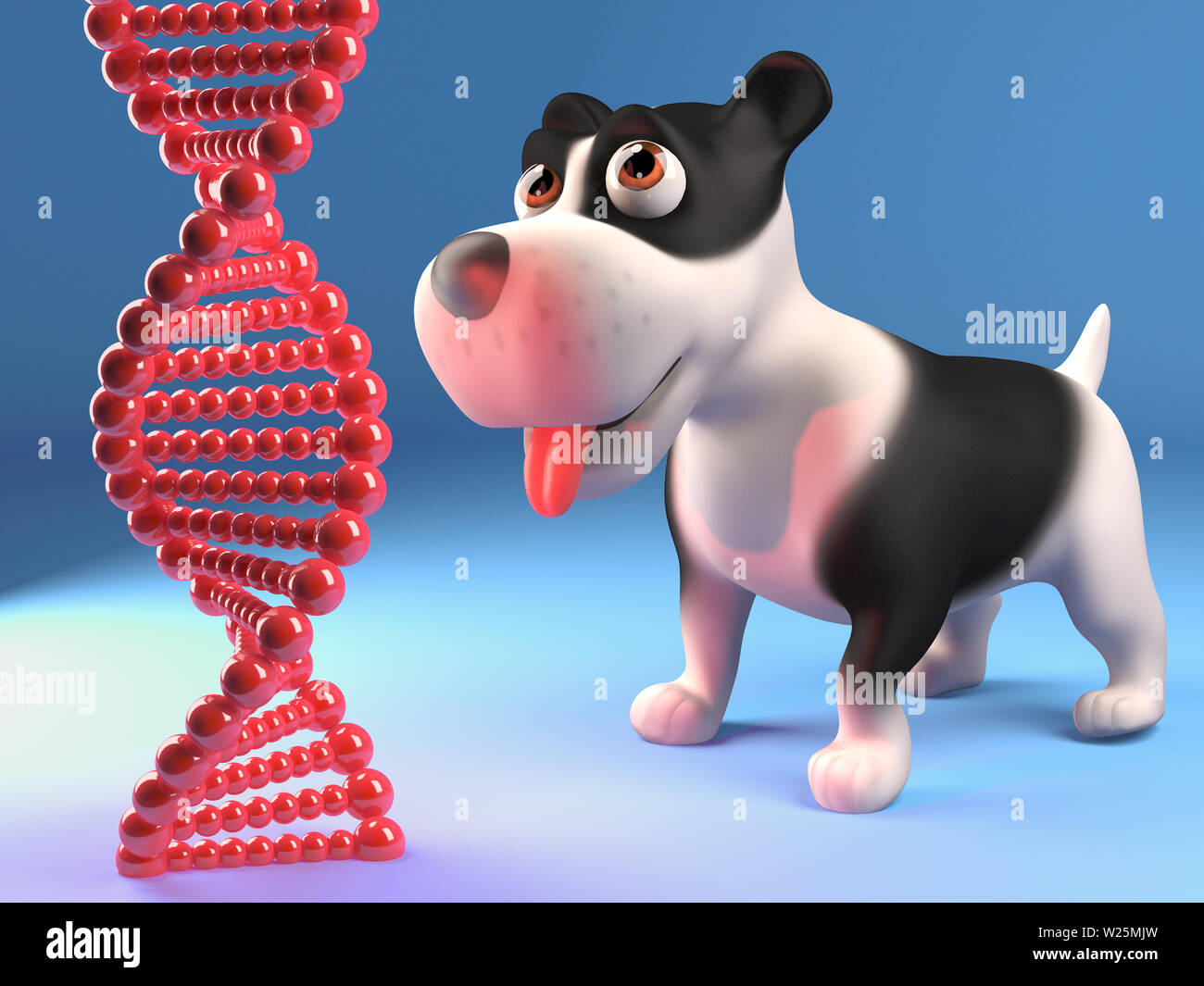 Canine dna hi-res stock photography and images - Alamy