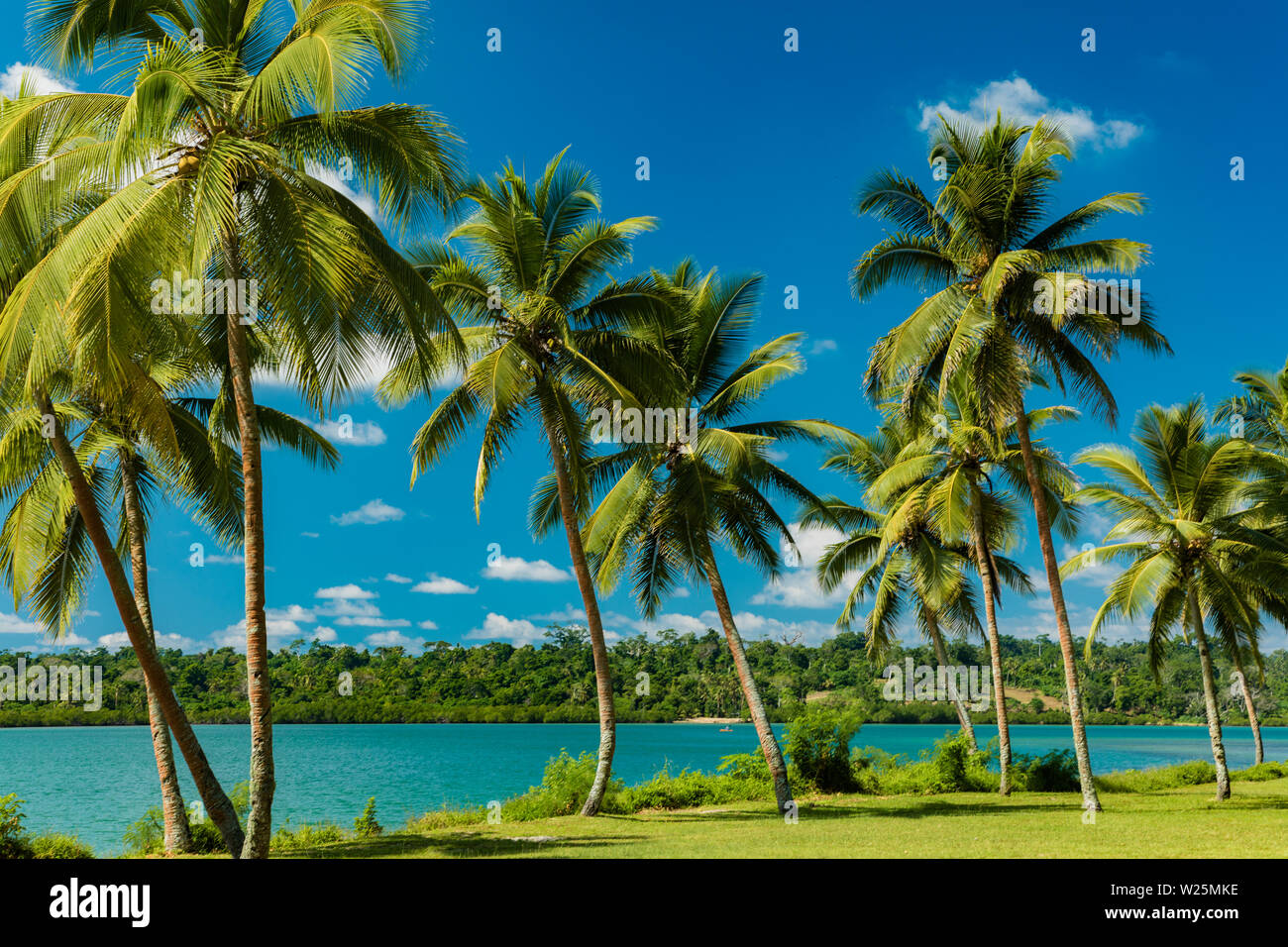 Tropical resort destination in Port Vila, Efate Island, Vanuatu, with ...