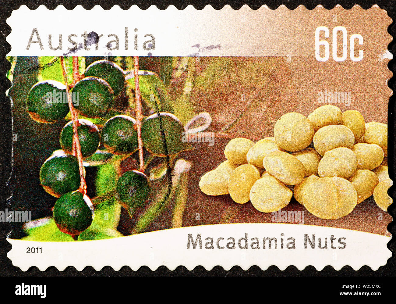 Macadamia nuts on australian postage stamp Stock Photo - Alamy