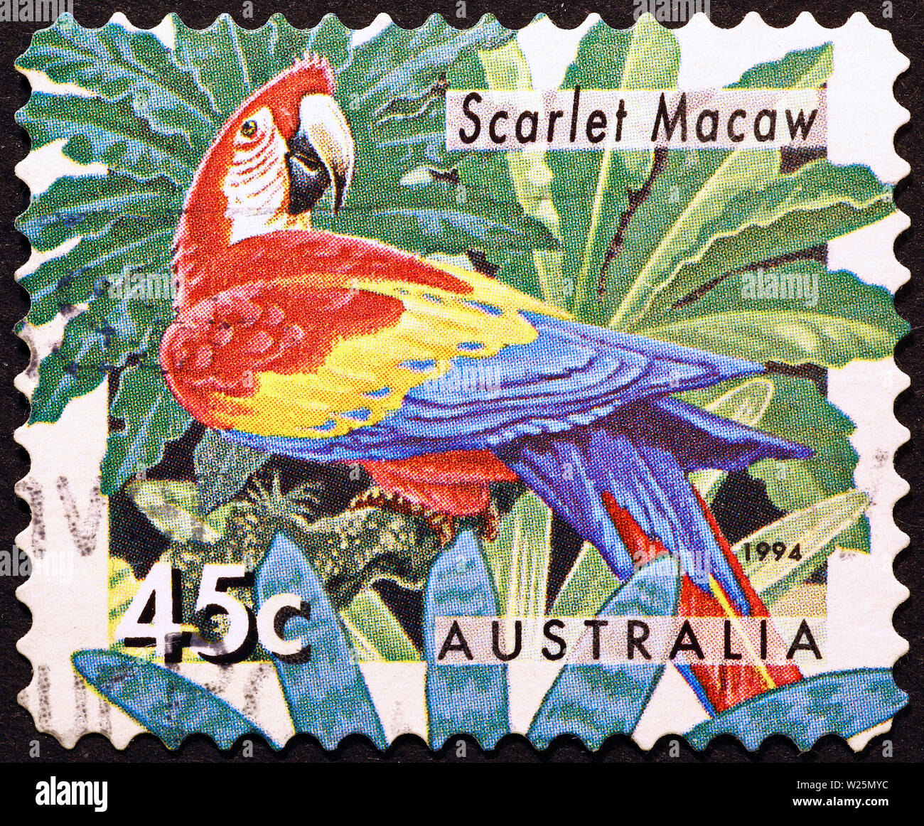 Multi colored Scarlet macaw on postage stamp Stock Photo - Alamy