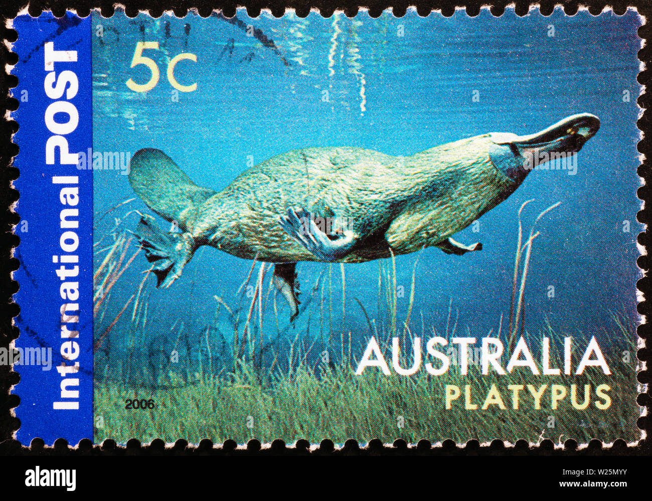 Platypus australia postage stamp hi-res stock photography and images ...