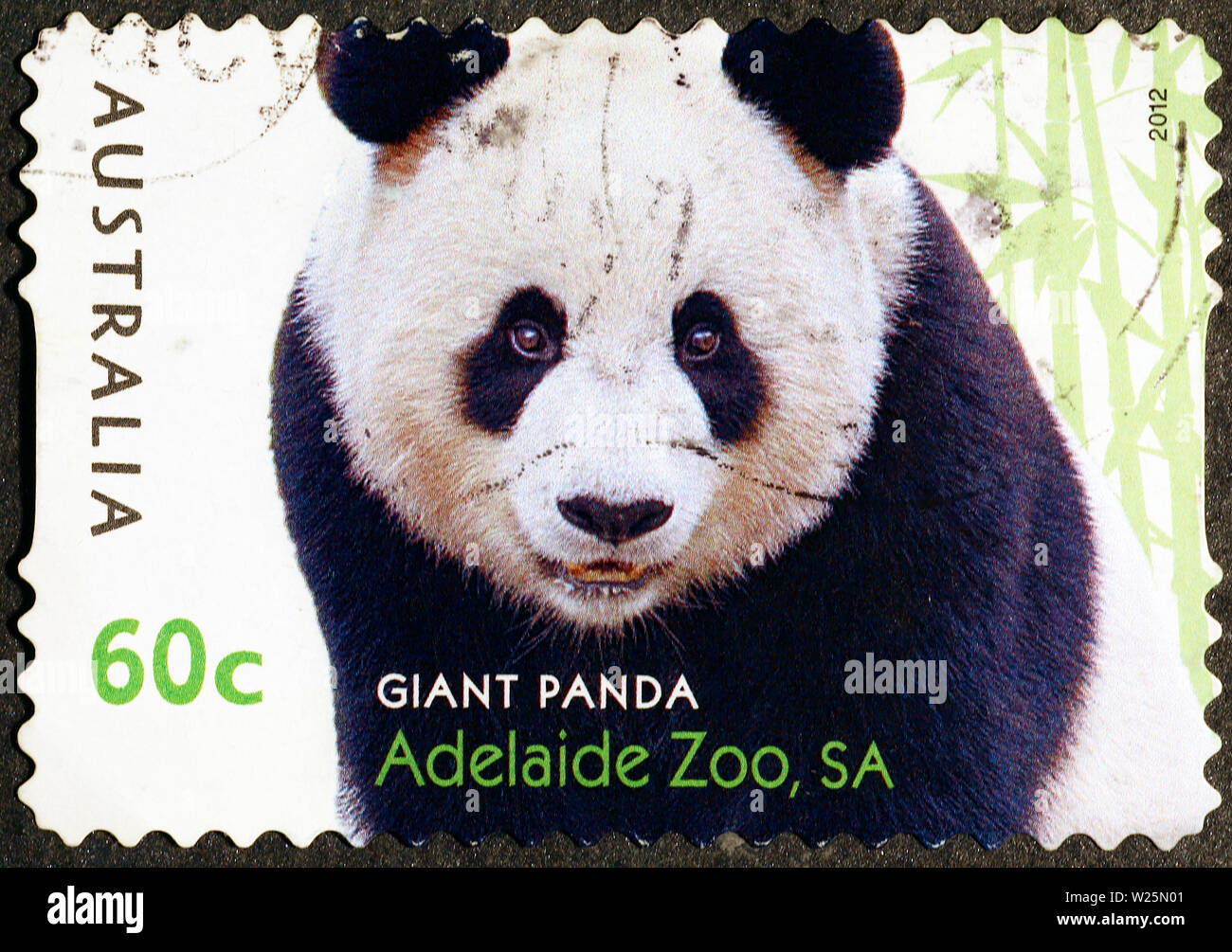 Portrait of Giant Panda on american postage stamp Stock Photo - Alamy