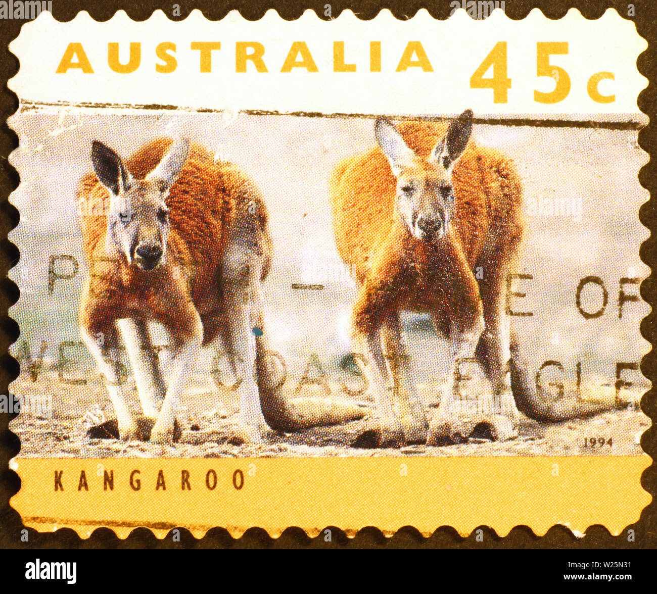 Two kangaroos on australian postage stamp Stock Photo - Alamy