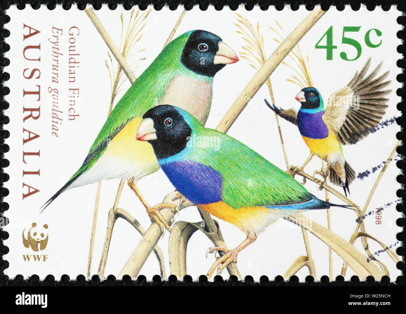 Wonderful gouldian finches on australian postage stamp Stock Photo - Alamy