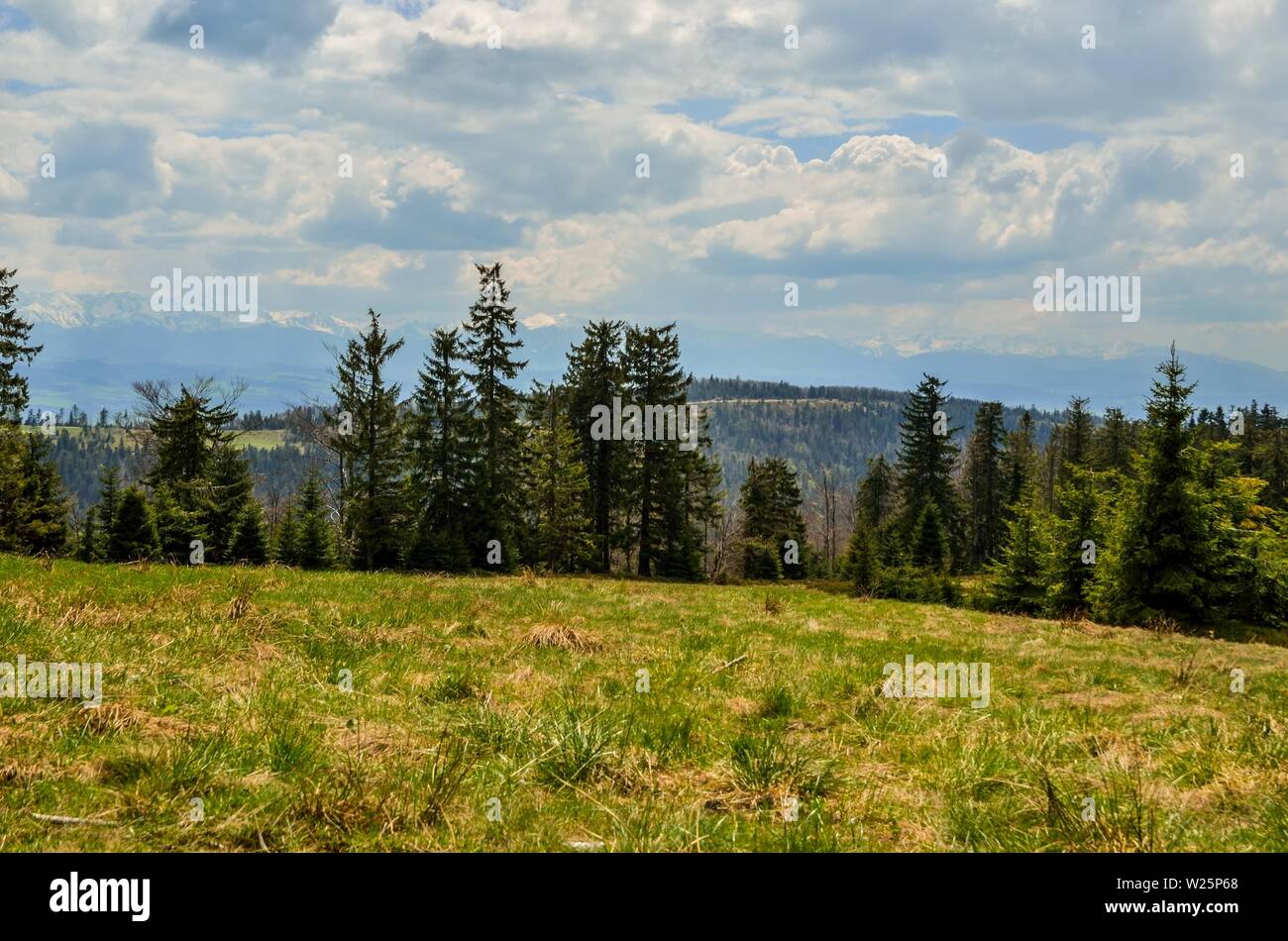 Beautiful mountain spring landscape. Beautiful peaks and charming ...