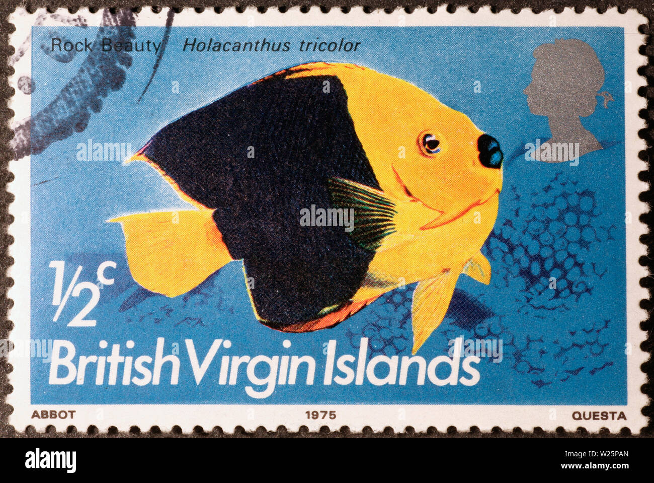 The virgin of the fish hi-res stock photography and images - Alamy