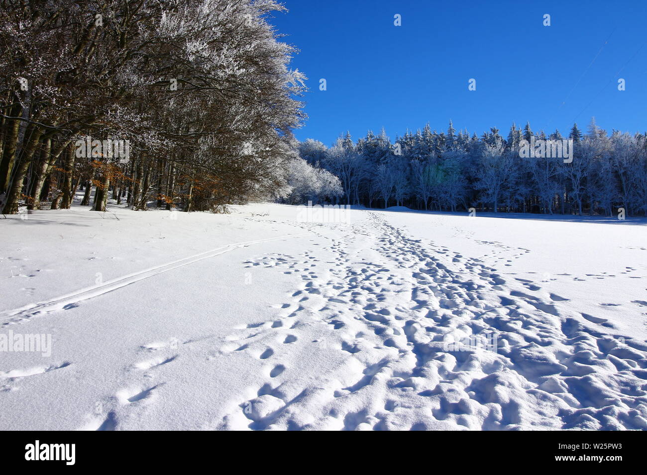 Bayerische rhon hi-res stock photography and images - Alamy