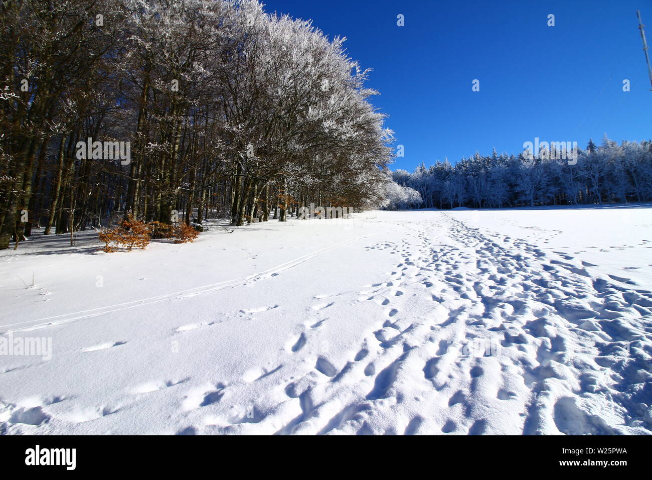 Winter auf dem Kreuzberg in der Bayerischen Rhön Stock Photo - Alamy