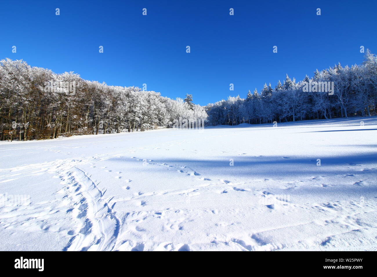 Winter auf dem Kreuzberg in der Bayerischen Rhön Stock Photo - Alamy