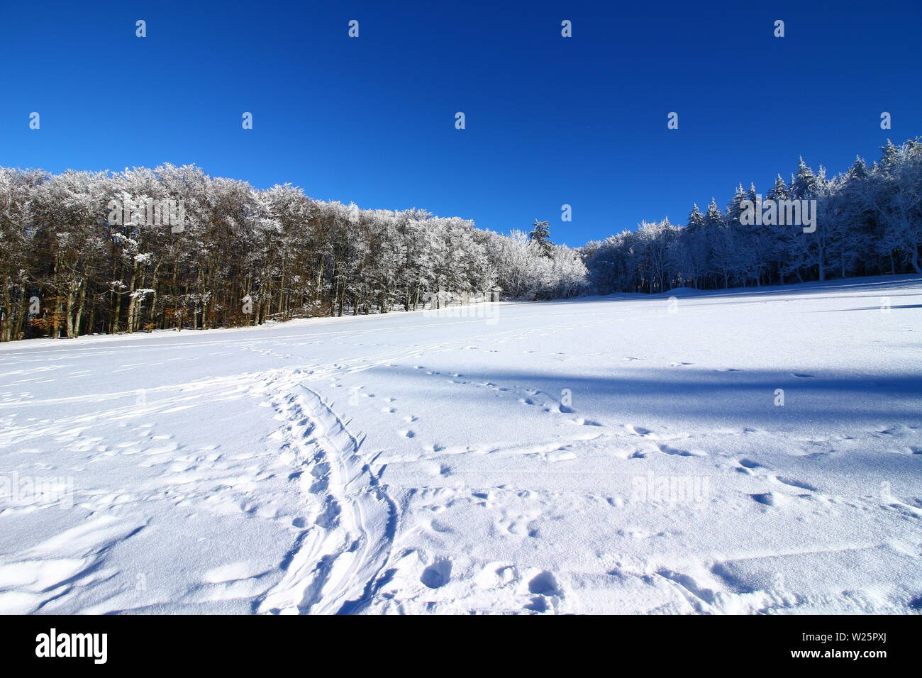Bayerische rhon hi-res stock photography and images - Alamy