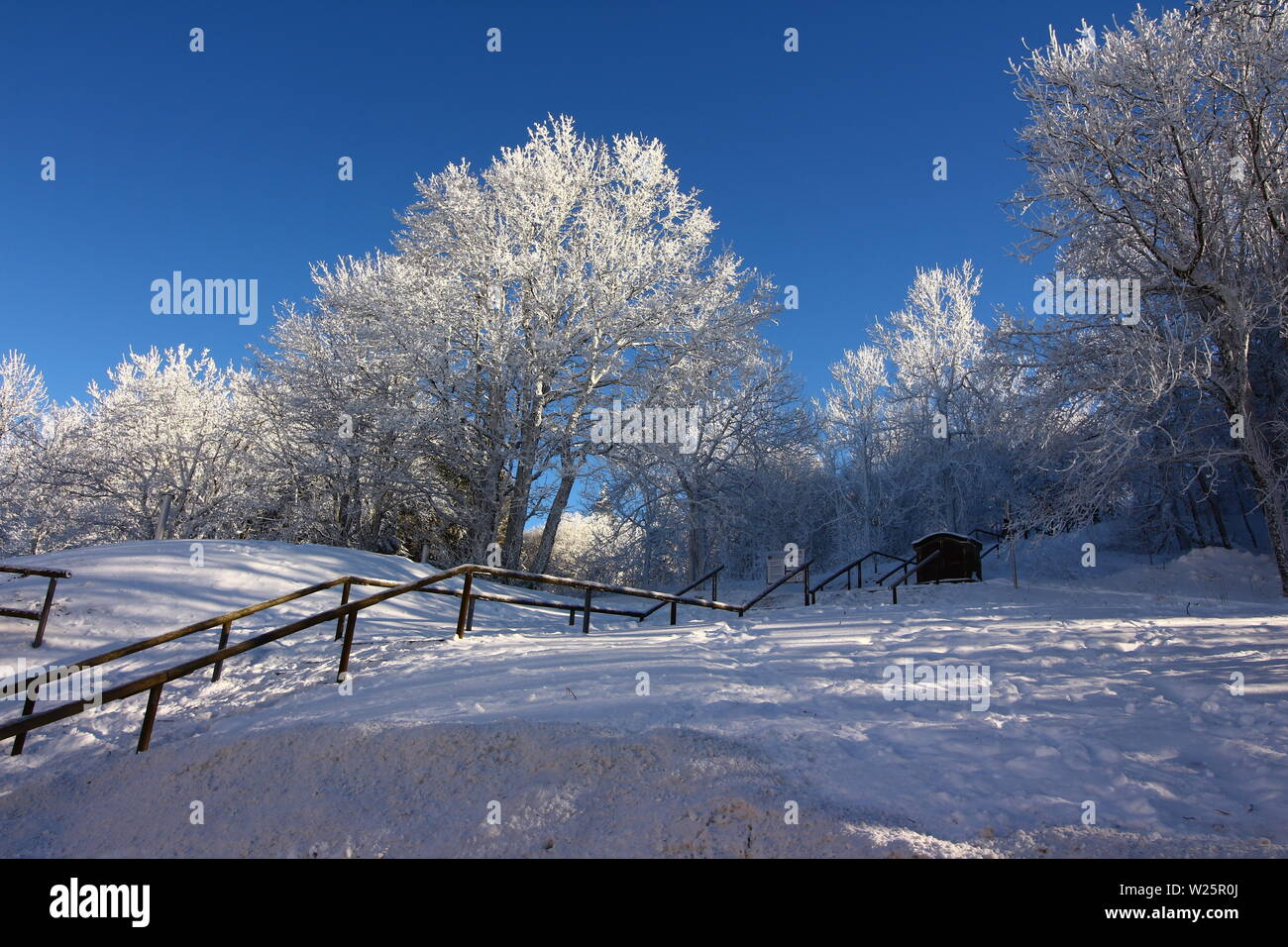 Bayerische rhon hi-res stock photography and images - Alamy