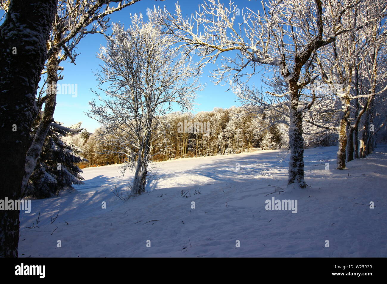 Bayerische rhon hi-res stock photography and images - Alamy
