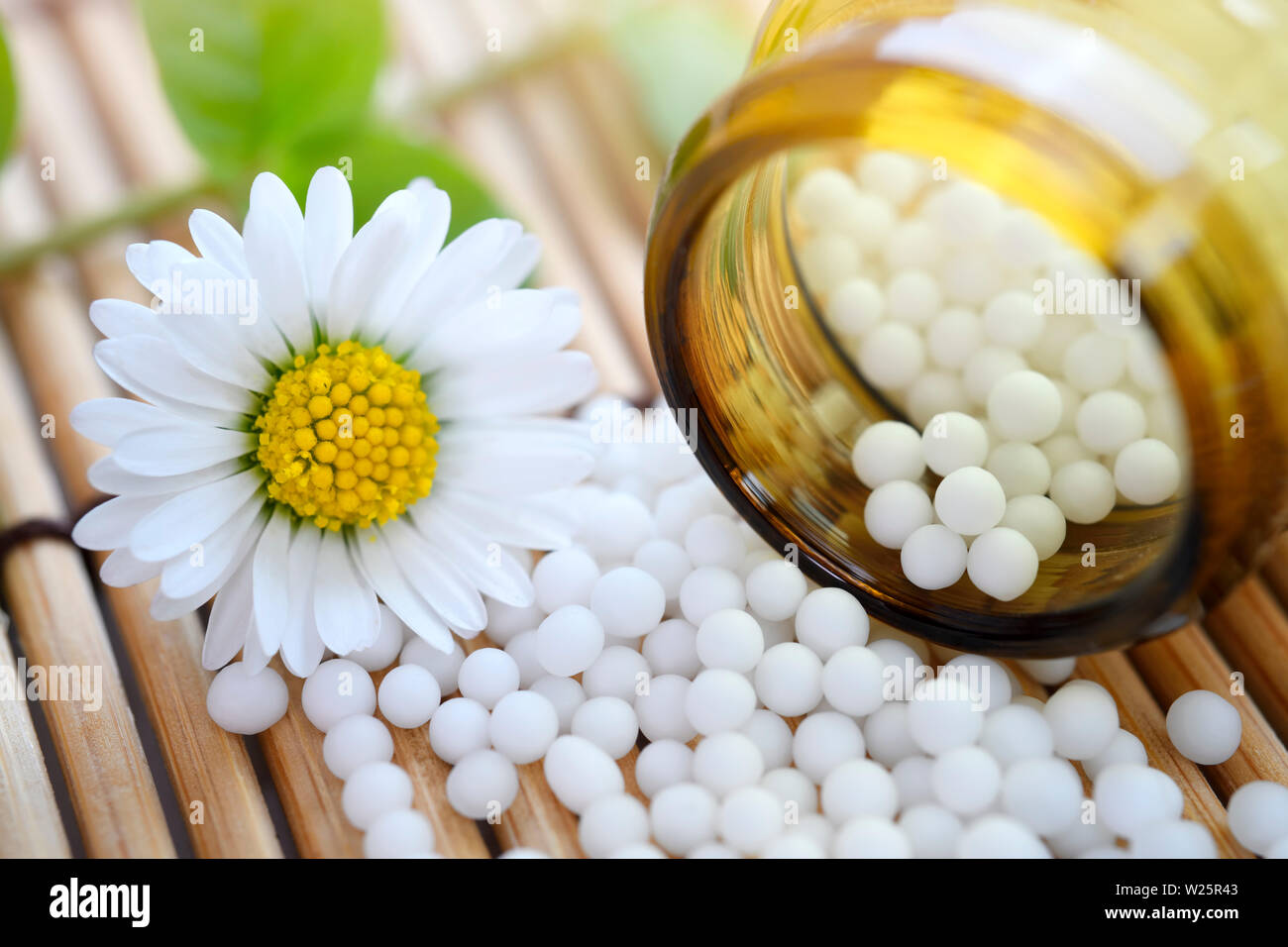 Daisy globules hi-res stock photography and images - Alamy