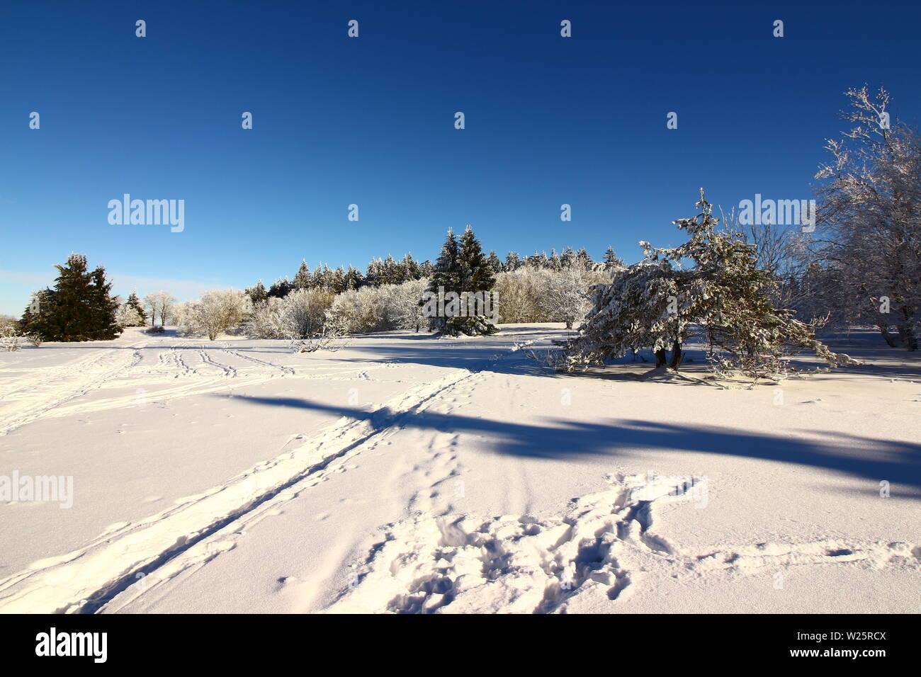 Bayerische rhon hi-res stock photography and images - Alamy