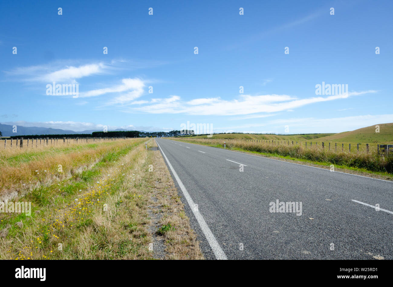 Lake ferry new zealand hi-res stock photography and images - Alamy