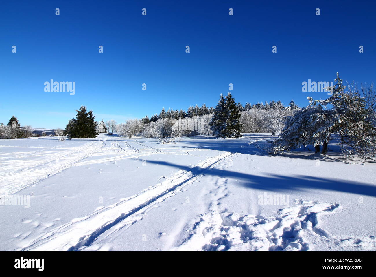 Bayerische rhon hi-res stock photography and images - Alamy