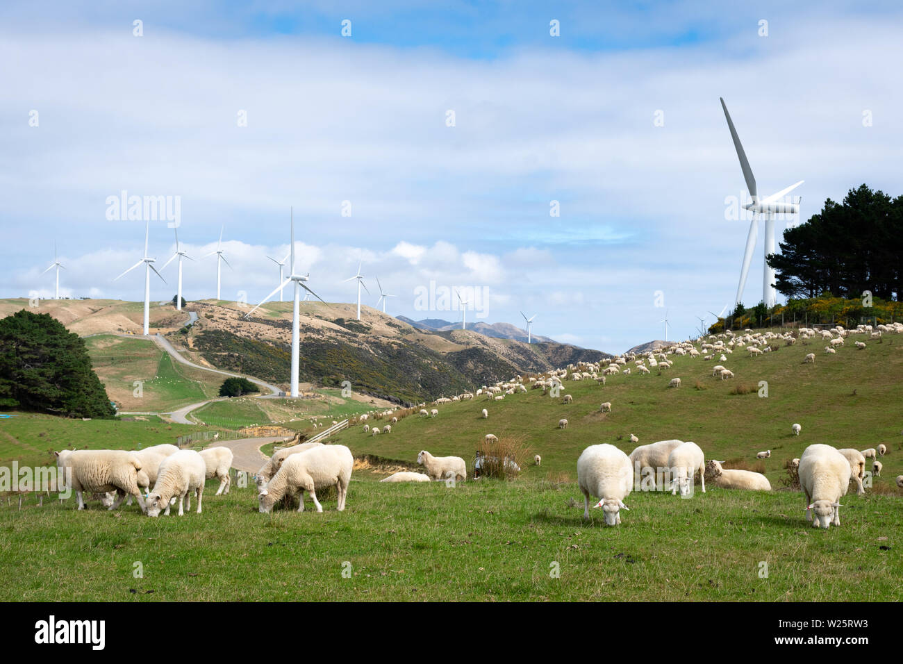Makara hi-res stock photography and images - Alamy