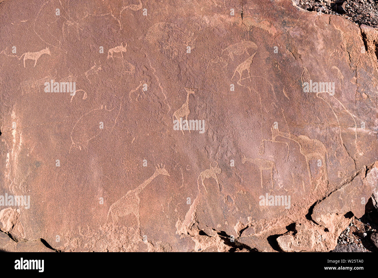 6000 year old stone age rock carvings showing a map of the location of ...