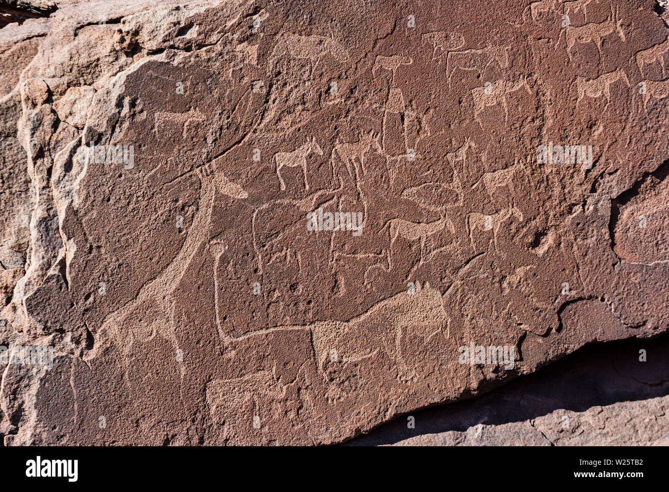 6000 year old stone age rock carvings showing a map of the location of ...